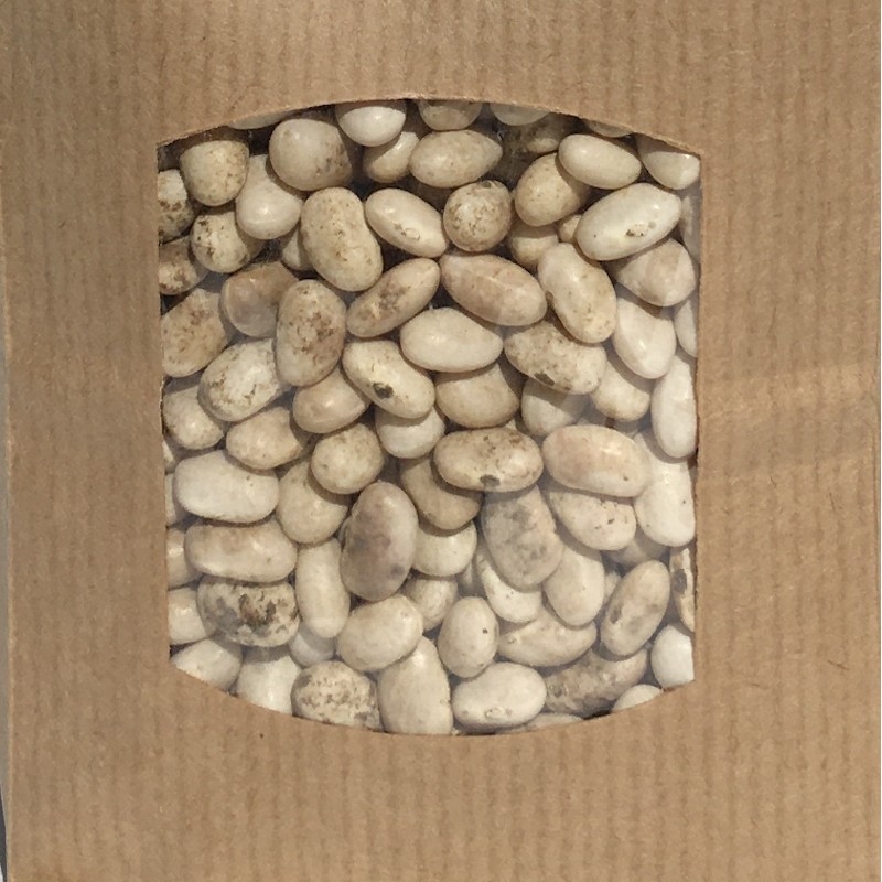 Organic white beans - 350 g - brutalselection.ch - JMBS Sàrl